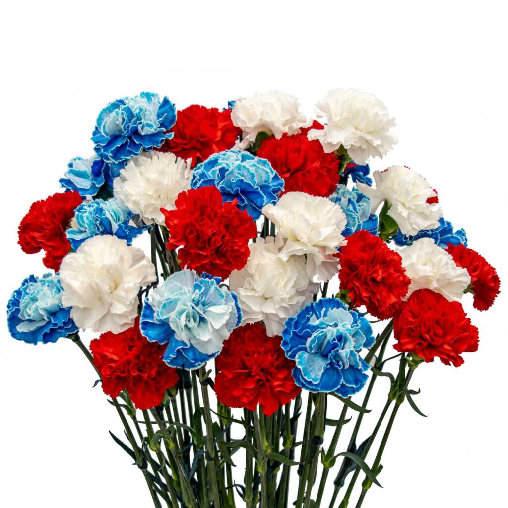 Red White and Blue, America! Carnations