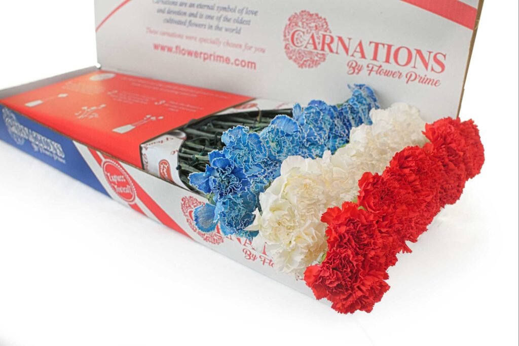 Red White and Blue, America! Carnations