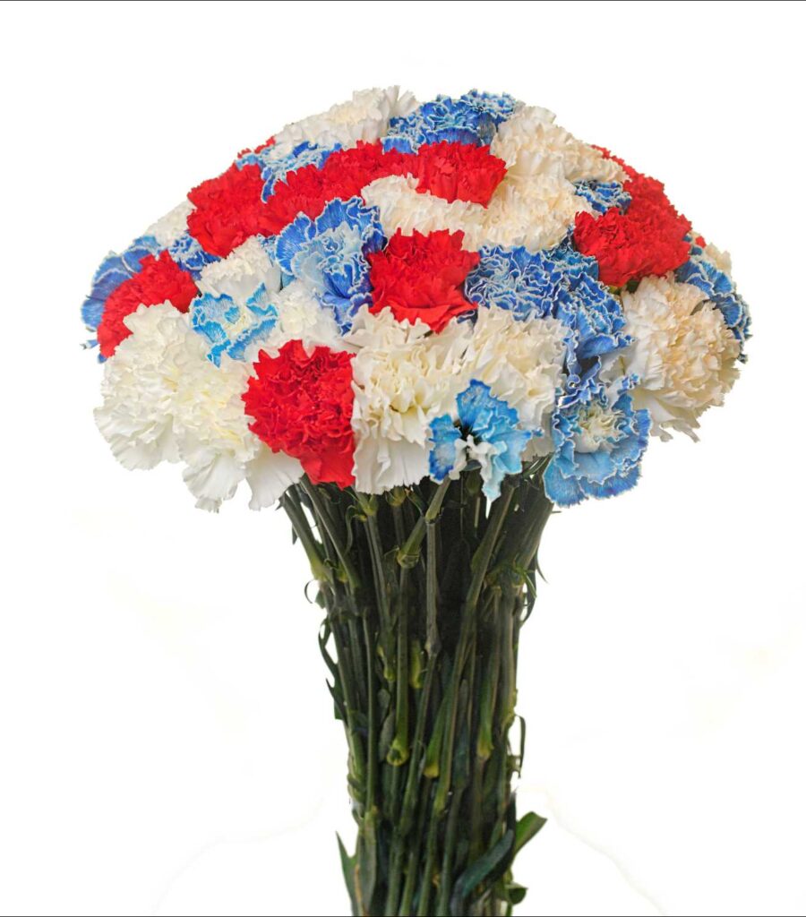 Red White and Blue, America! Carnations